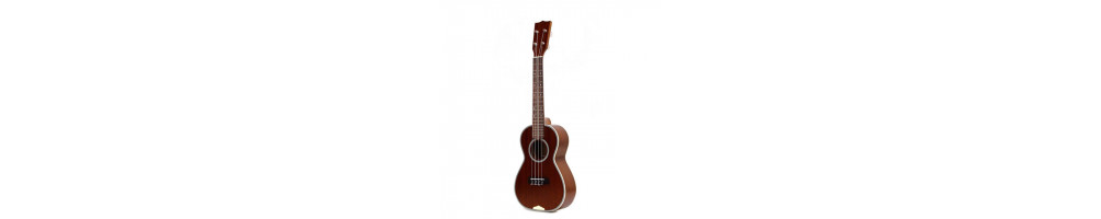 Ukulele Concerto